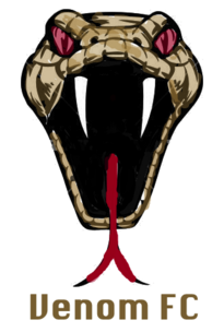 Venom FC, Mixed Martial Arts Organization, Las Vegas, MMA Game